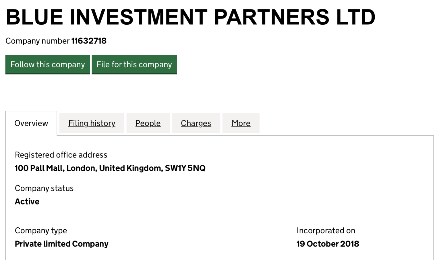 Blue Investment Partners LTD Review (blue-investment.org): Safe or Scam? ⚠️